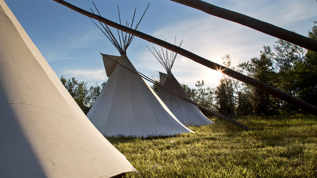 Process mapping: Seeing the bigger picture - Health Quality Council