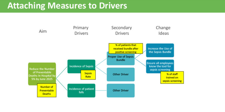 Using driver diagrams to tackle wicked problems - Health Quality Council